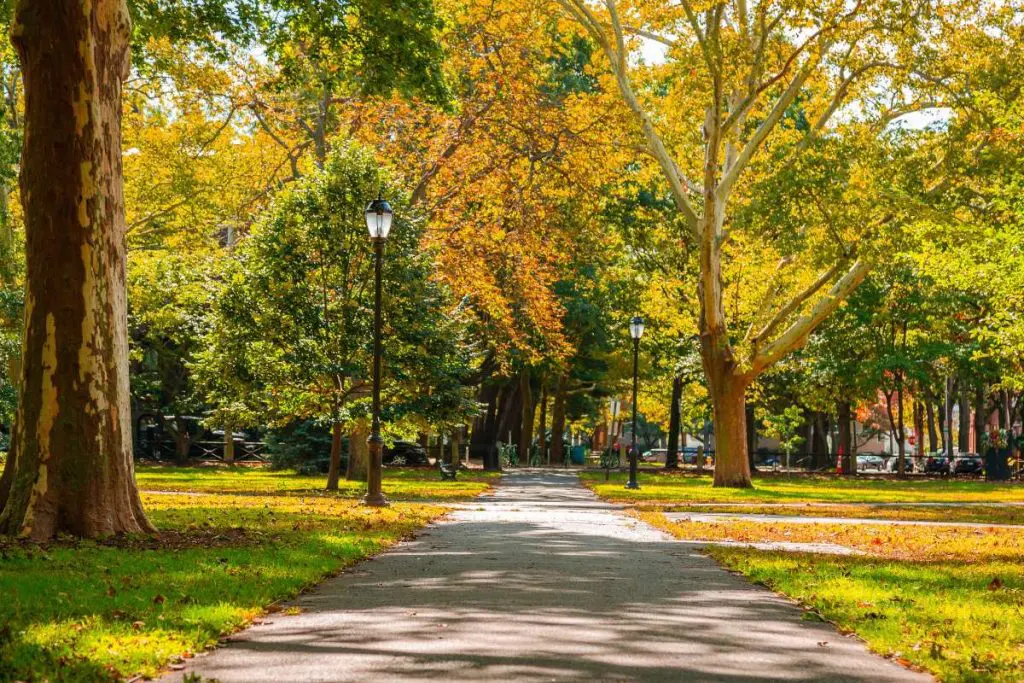 Parks & Public Spaces – New Haven Connecticut